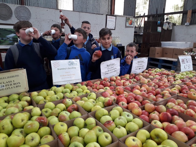 Trip to the Apple Farm